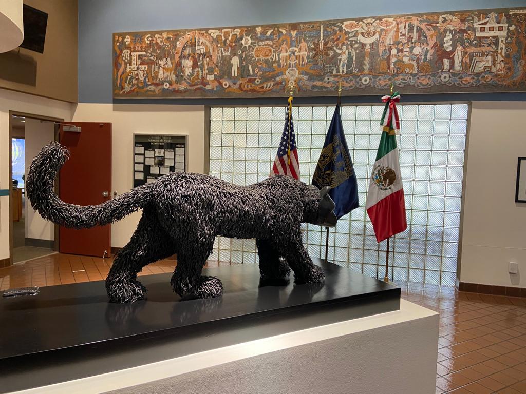 About Us - UNAM San Antonio Texas